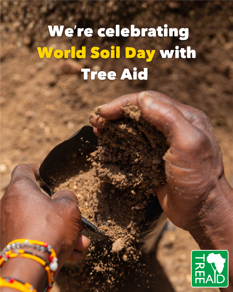 We’re celebrating World Soil Day with Tree Aid | Juniper
