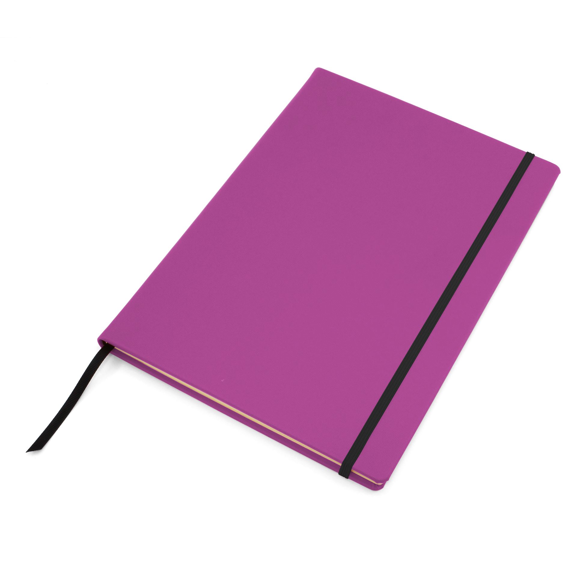 Torino Vegan Soft Touch A4 Casebound Notebook with Elastic Strap | Juniper