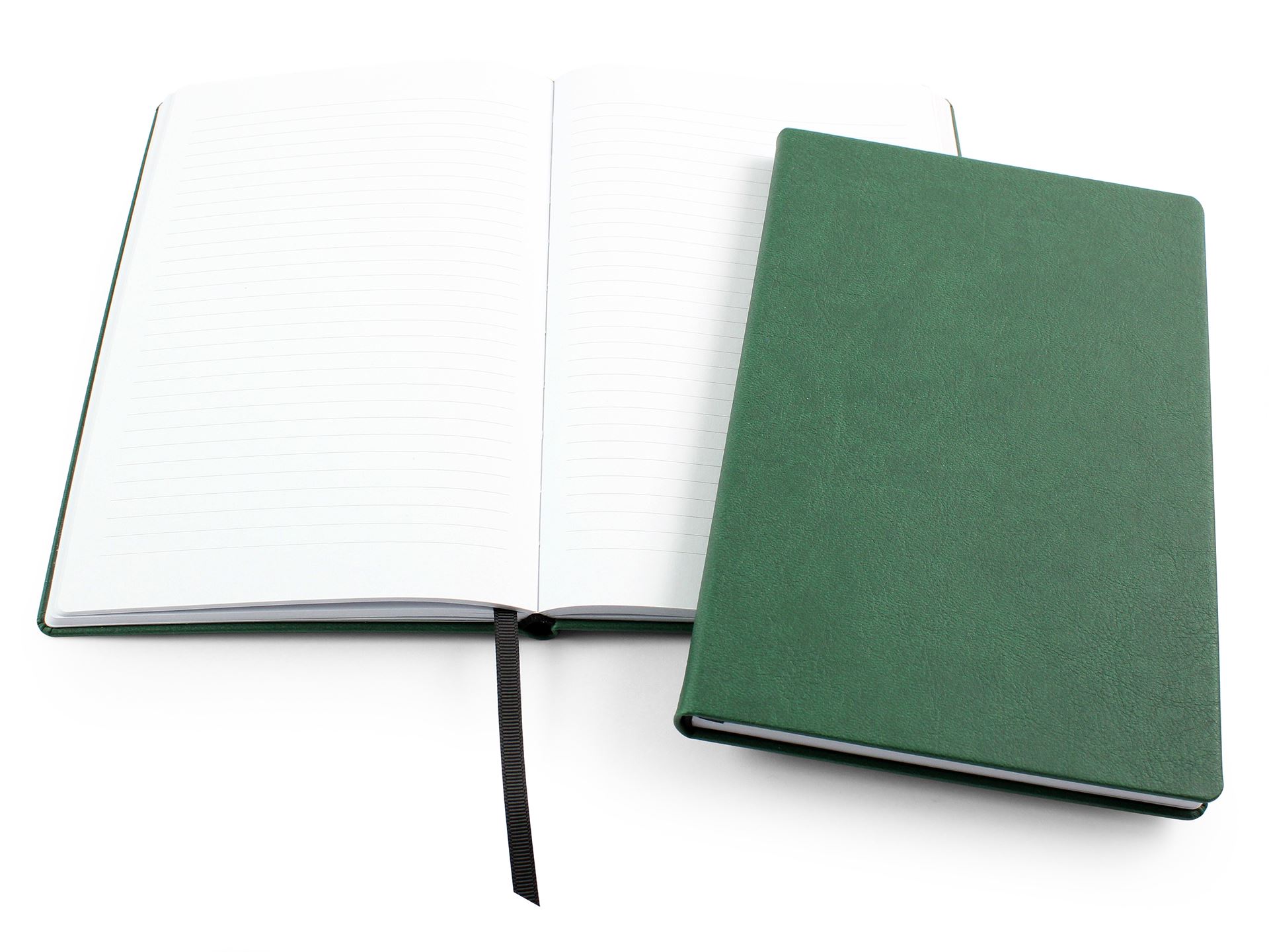 Biodegradable A5 Casebound Notebook | Juniper