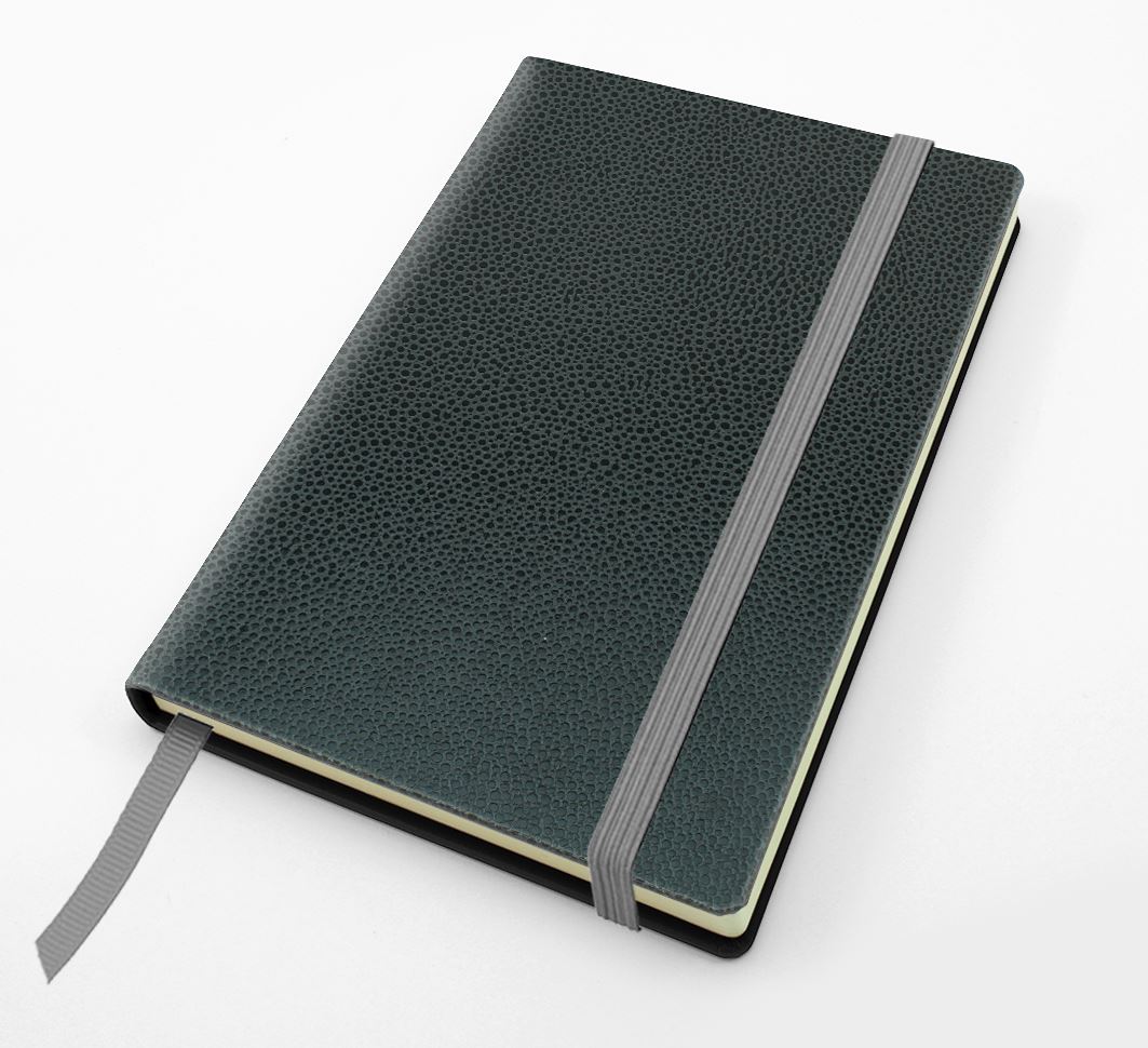 Palma Natural Recycled Leather Pocket Casebound Notebook with Elastic ...